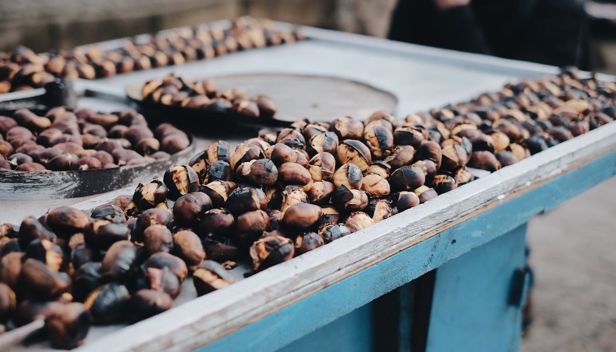 ALDI and Fairtrade partner to support the livelihoods of cocoa farmers ...