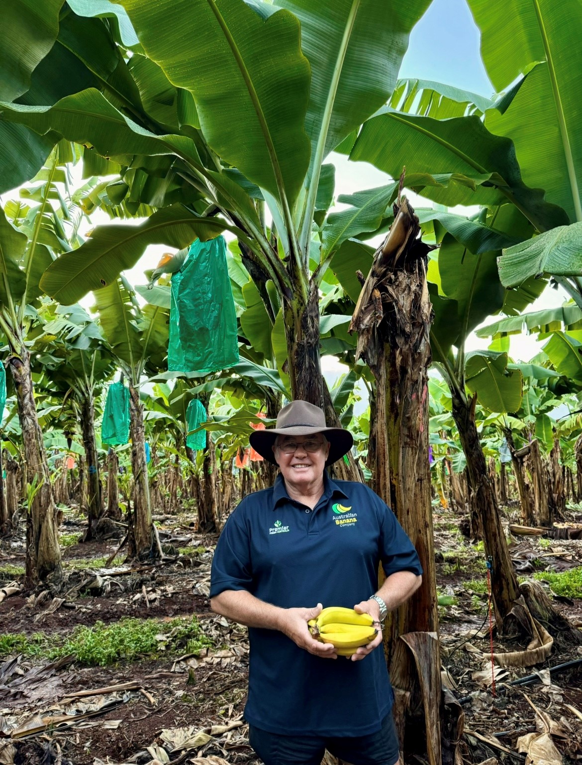 ALDI Australia has been officially recognised as the BEST supermarket ...